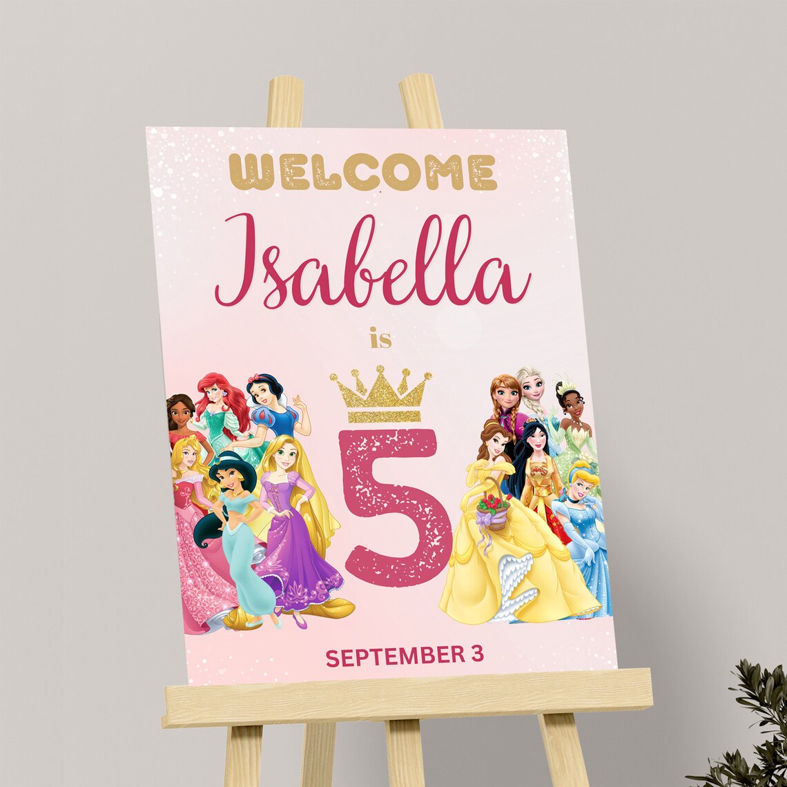 Princess Welcome Sign Princess Birthday Sign Princesses Welcome Poster ...