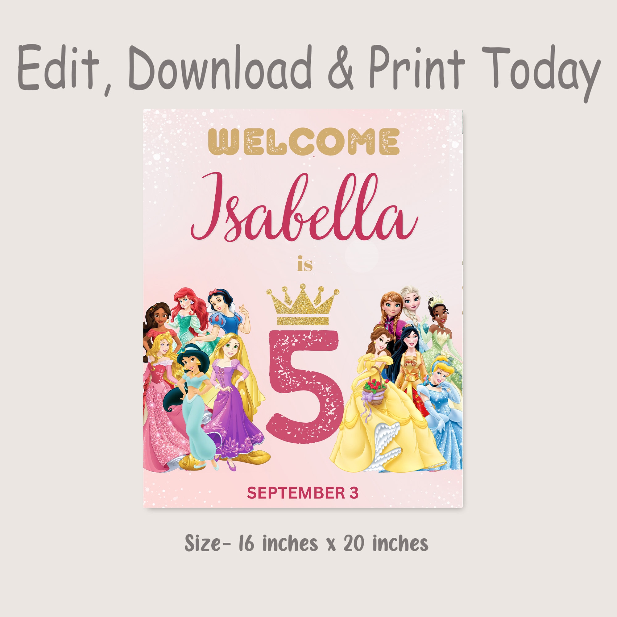 Princess Welcome Sign Princess Birthday Sign Princesses Welcome Poster ...