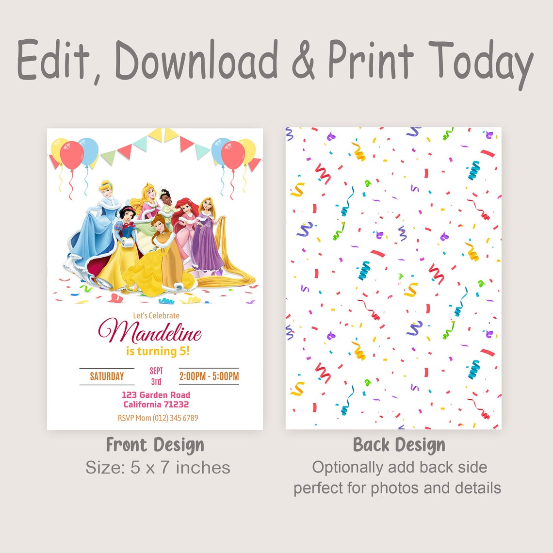 Princess Birthday Party Invitation Girl Princess Birthday Invite ...