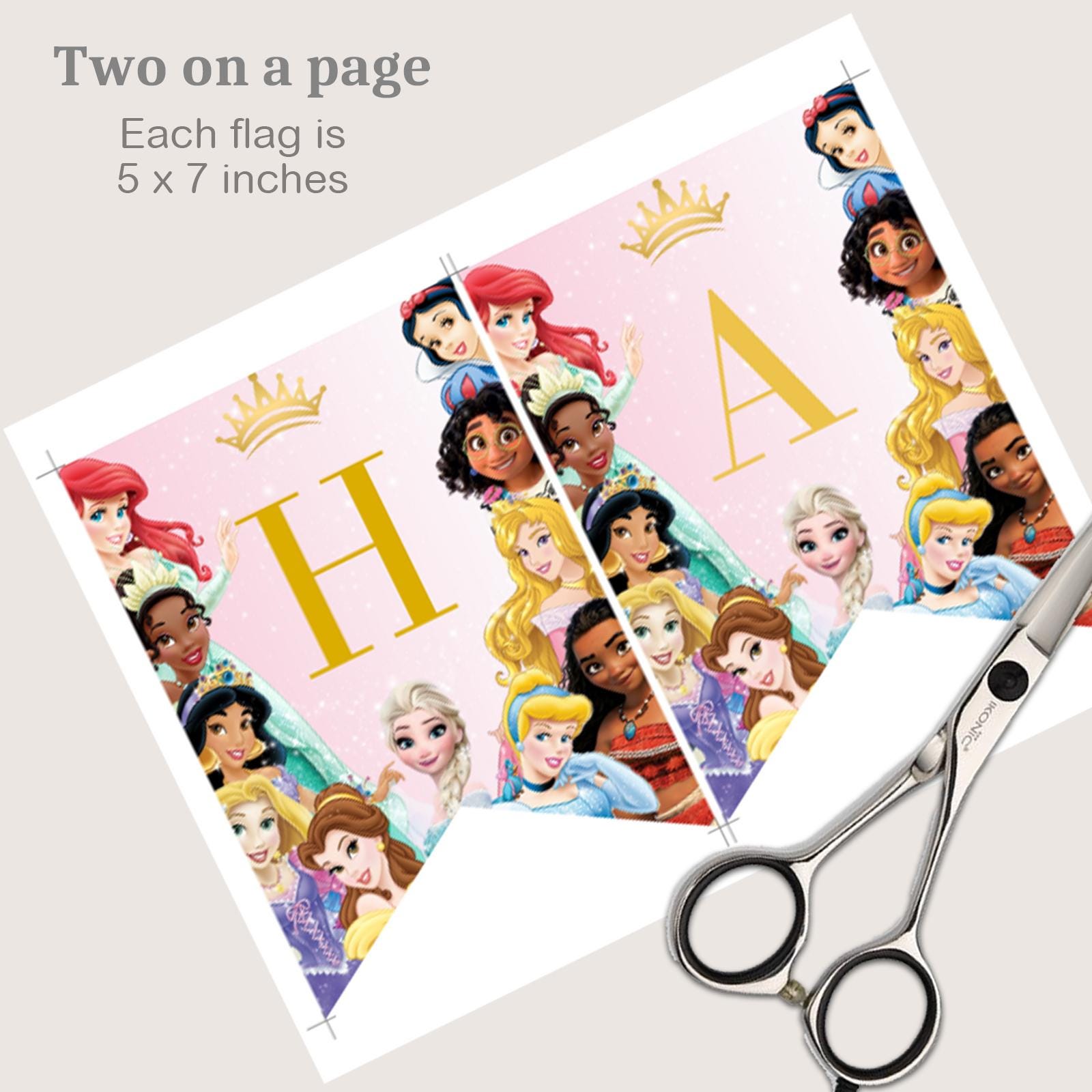 Princess Birthday Banner Princess Happy Birthday Decorations Princess ...