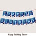 Frozen Birthday Banner Frozen Bunting Frozen Happy Birthday Decorations ...