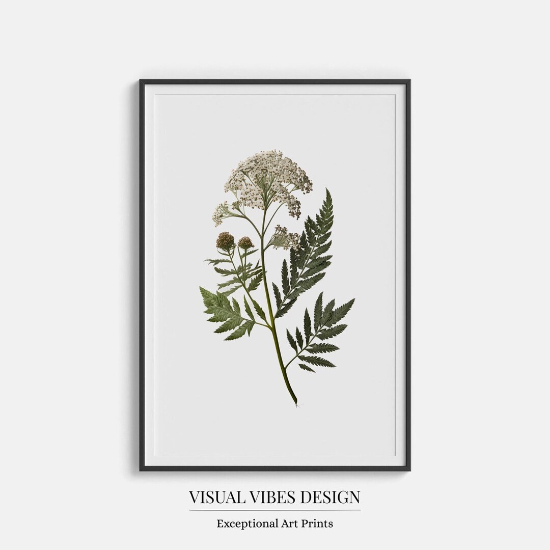 Yarrow Art Print | Digital Flower Wall Art | Digital Print | High ...