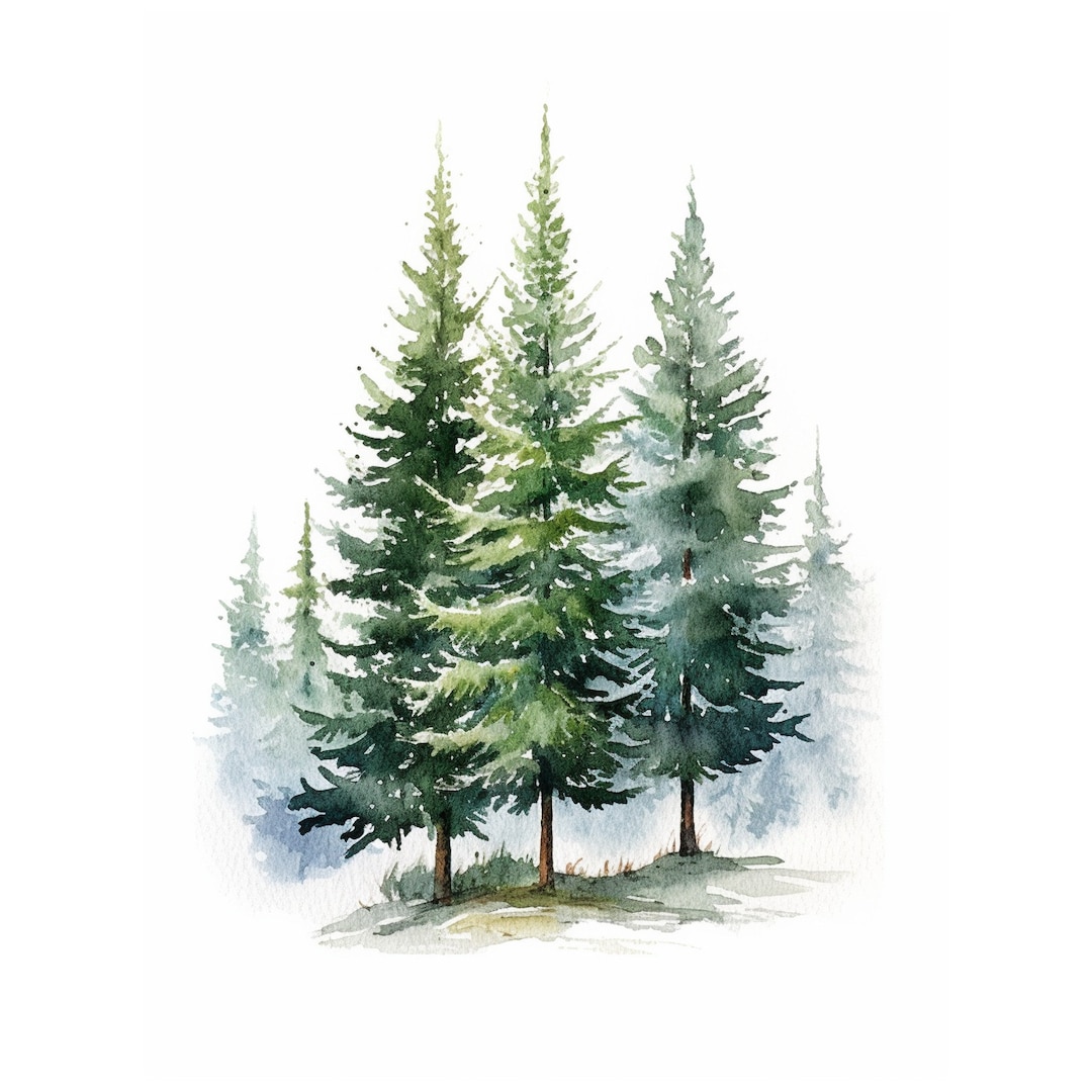 Watercolor Pine Trees - Etsy