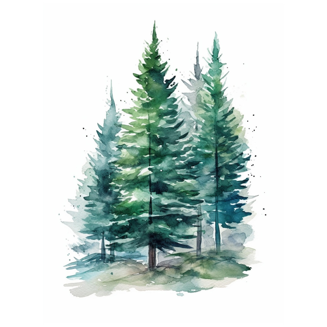 Watercolor Pine Trees - Etsy