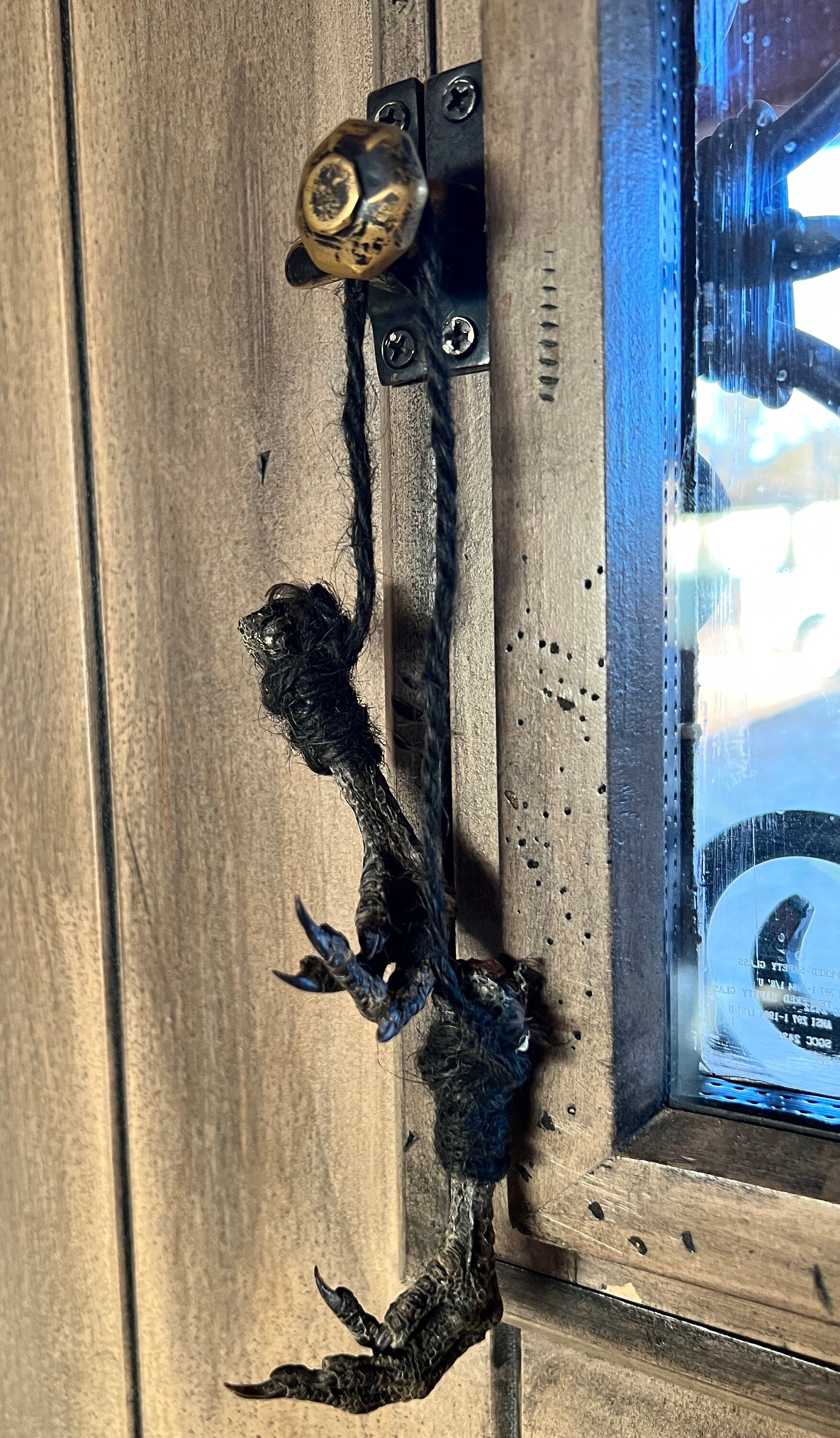 Ayam Cemani Chicken Feet Magic - Etsy