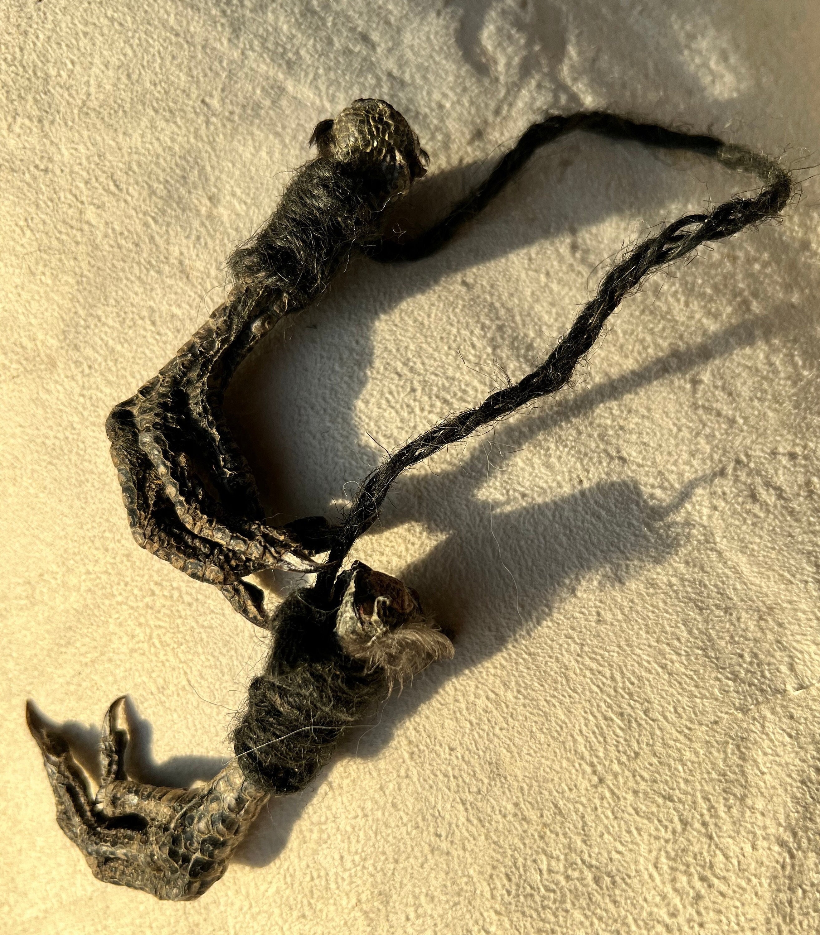 Ayam Cemani Chicken Feet Magic - Etsy