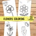 Simple Flower Coloring Pages for Kids , 20 Flower Coloring Sheets ...