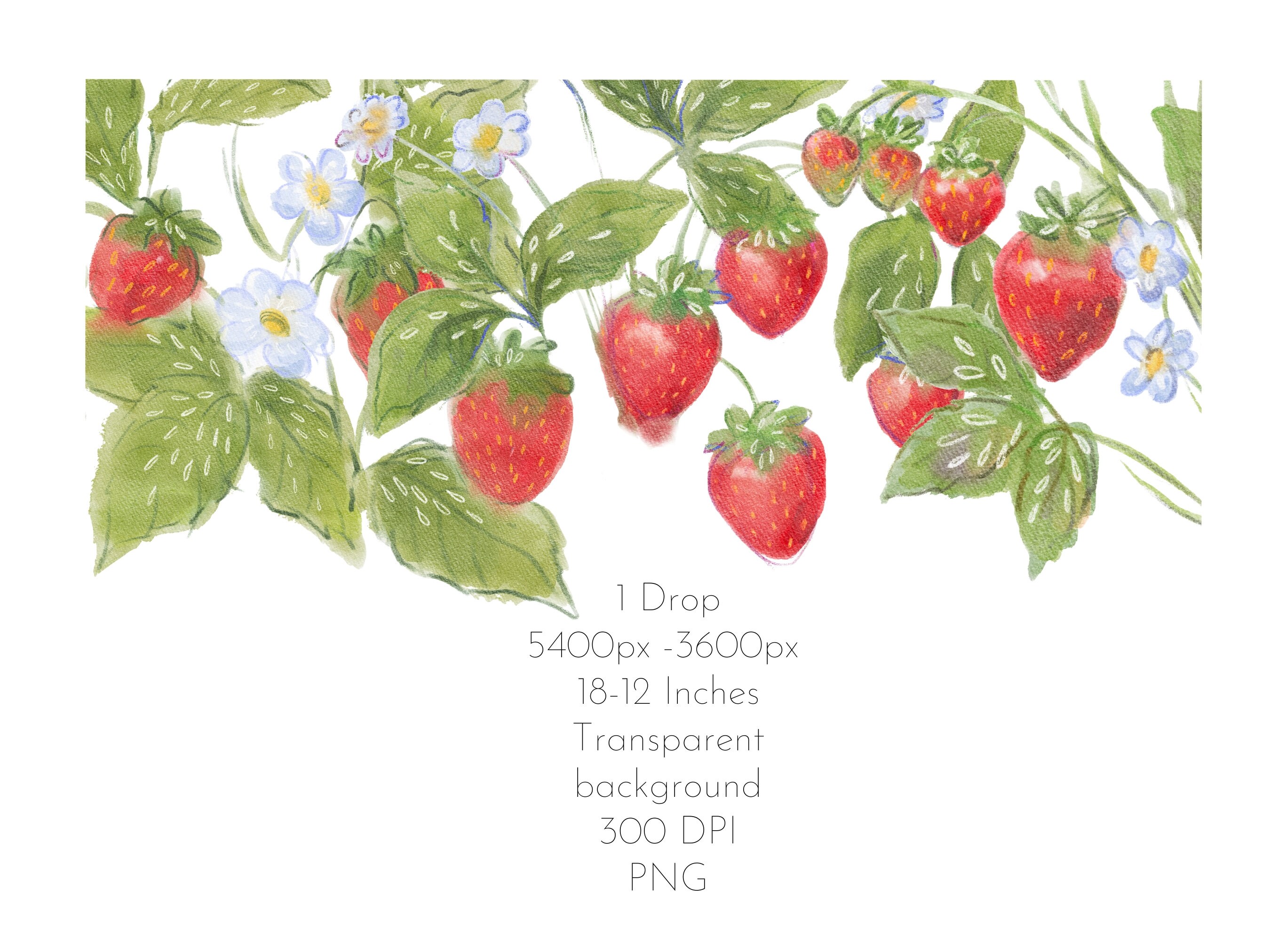 Strawberry Watercolor Clipart PNG, Strawberry Frame Clipart, Watercolor ...