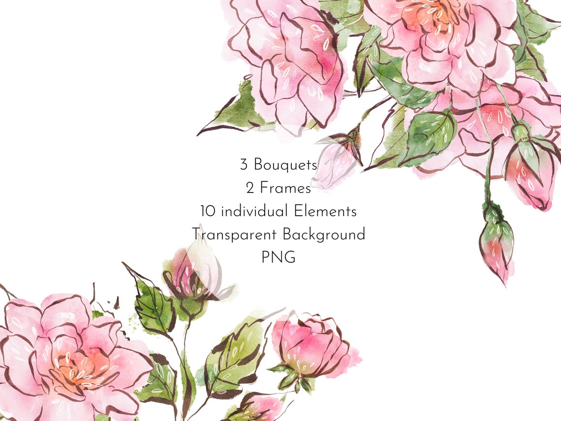 Roses Watercolor Clipart, Rose Floral PNG Clipart, Pink Flowers Clipart ...