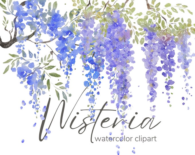 Wisteria Watercolor Clipart PNG, Purple Blue Flowers Clipart ...
