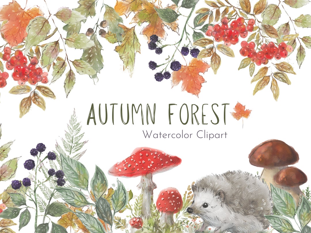 Autumn Forest Watercolor Clipart, PNG Autumn Botanical Clipart ...