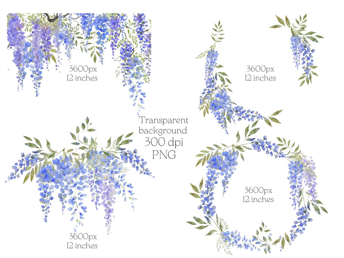 Wisteria Watercolor Clipart PNG, Purple Blue Flowers Clipart ...