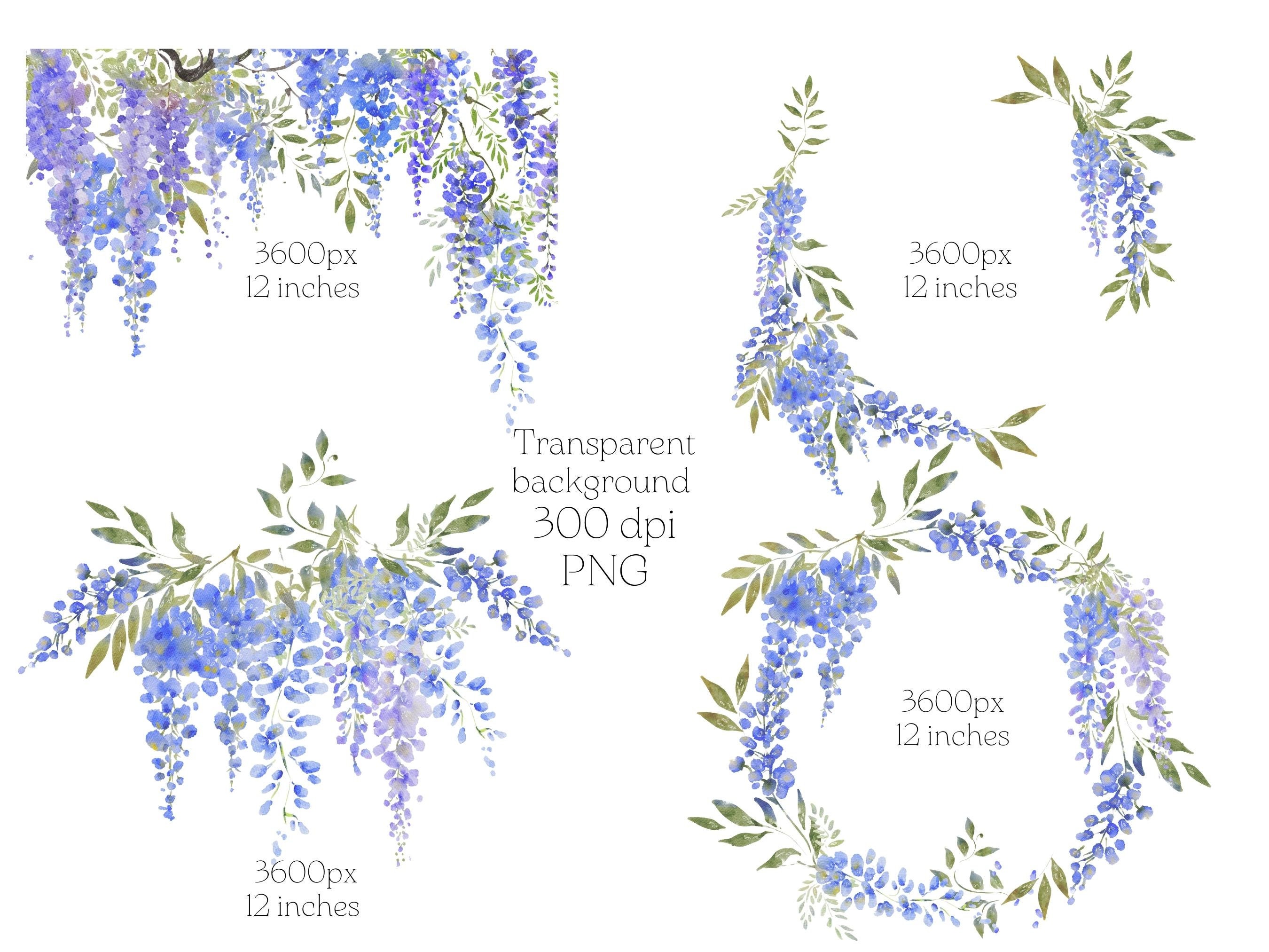 Wisteria Watercolor Clipart PNG, Purple Blue Flowers Clipart ...