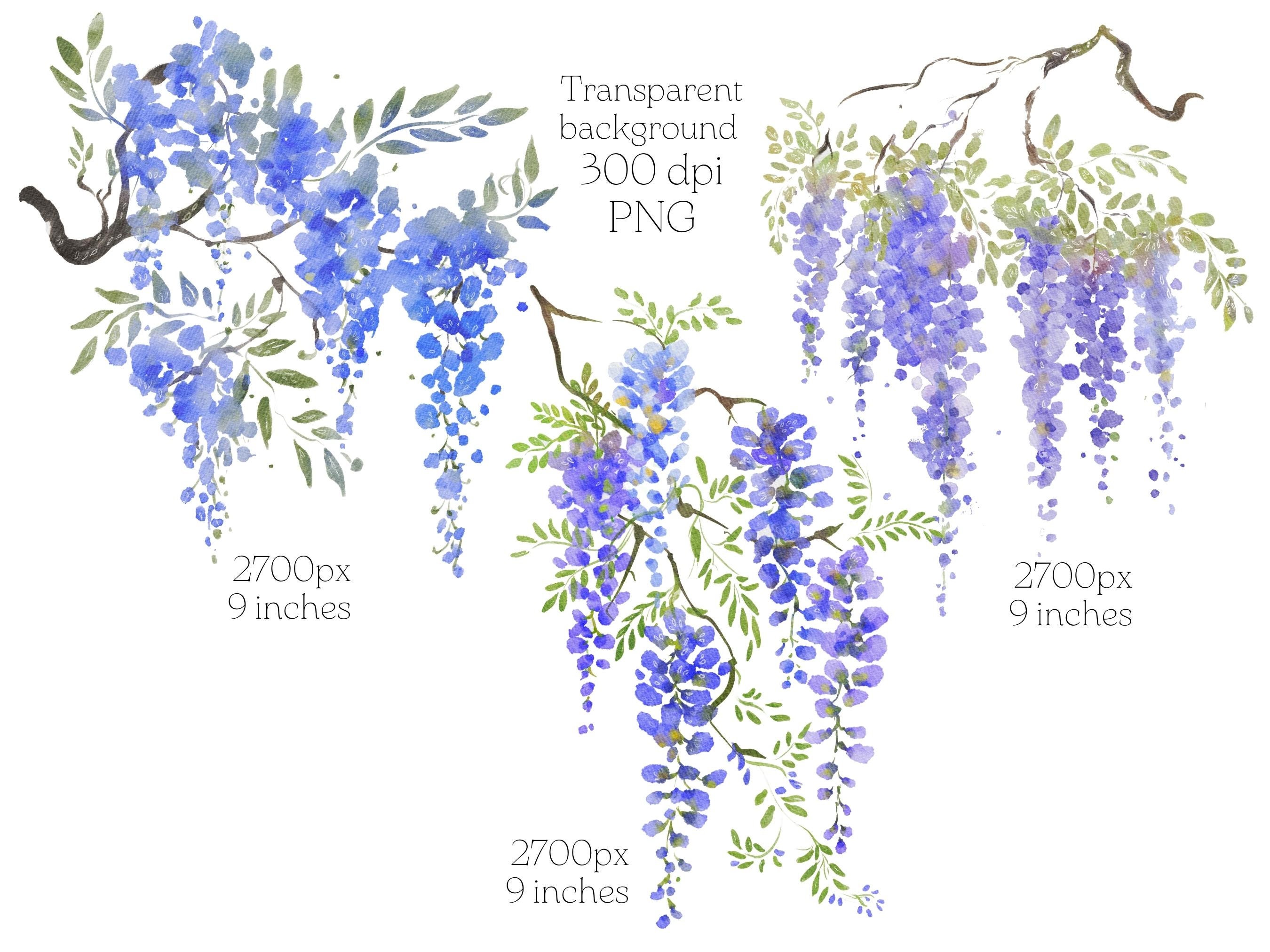 Wisteria Watercolor Clipart PNG, Purple Blue Flowers Clipart ...