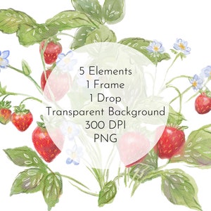 Strawberry Watercolor Clipart PNG, Strawberry Frame Clipart, Watercolor ...