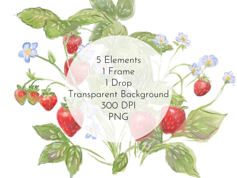 Strawberry Watercolor Clipart PNG, Strawberry Frame Clipart, Watercolor ...