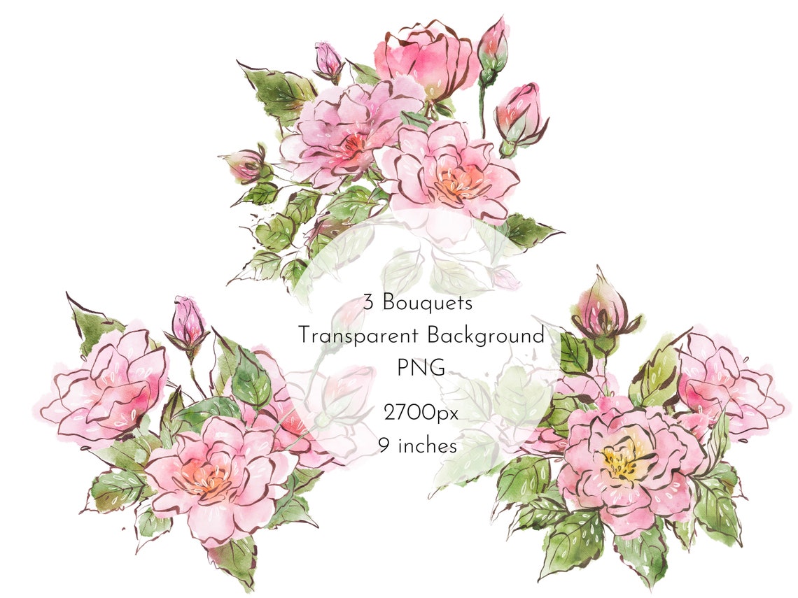 Roses Watercolor Clipart, Rose Floral PNG Clipart, Pink Flowers Clipart ...
