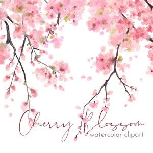 Cherry Blossom Watercolor Clipart, Pink Blossom Clipart, Floral ...