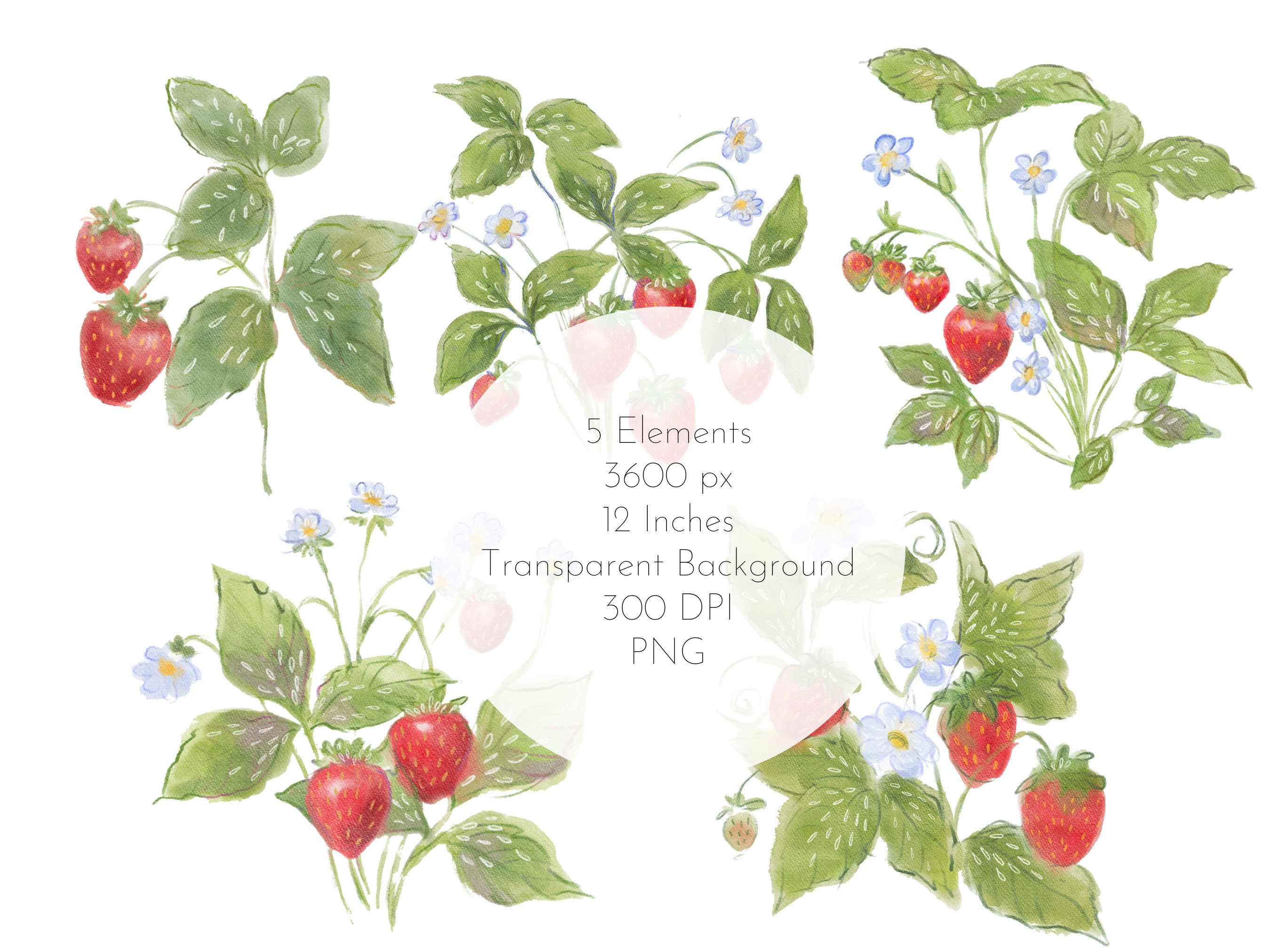 Strawberry Watercolor Clipart PNG, Strawberry Frame Clipart, Watercolor ...