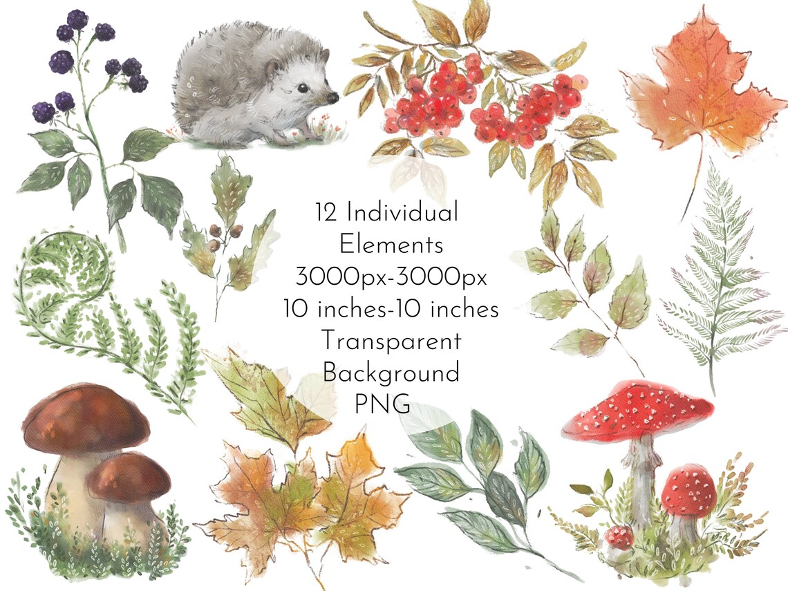 Autumn Forest Watercolor Clipart, PNG Autumn Botanical Clipart ...