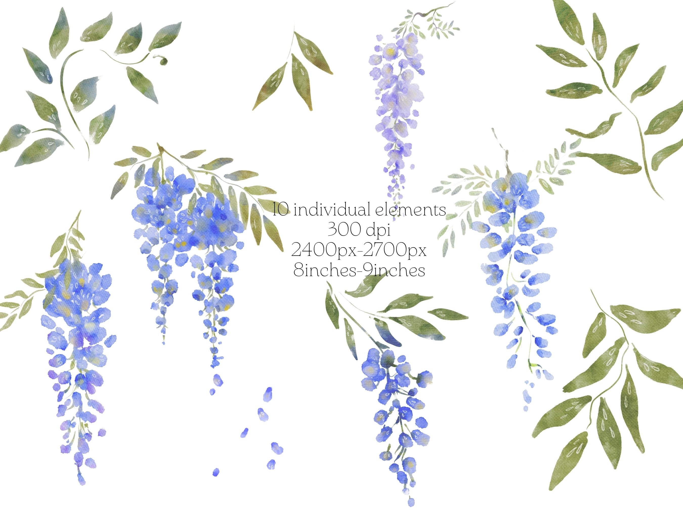 Wisteria Watercolor Clipart PNG, Purple Blue Flowers Clipart ...