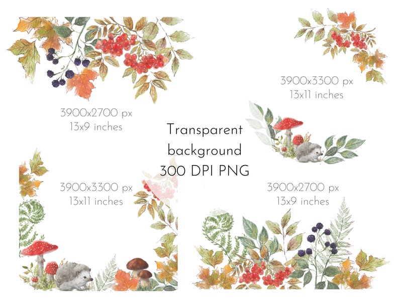 Autumn Forest Watercolor Clipart, PNG Autumn Botanical Clipart ...