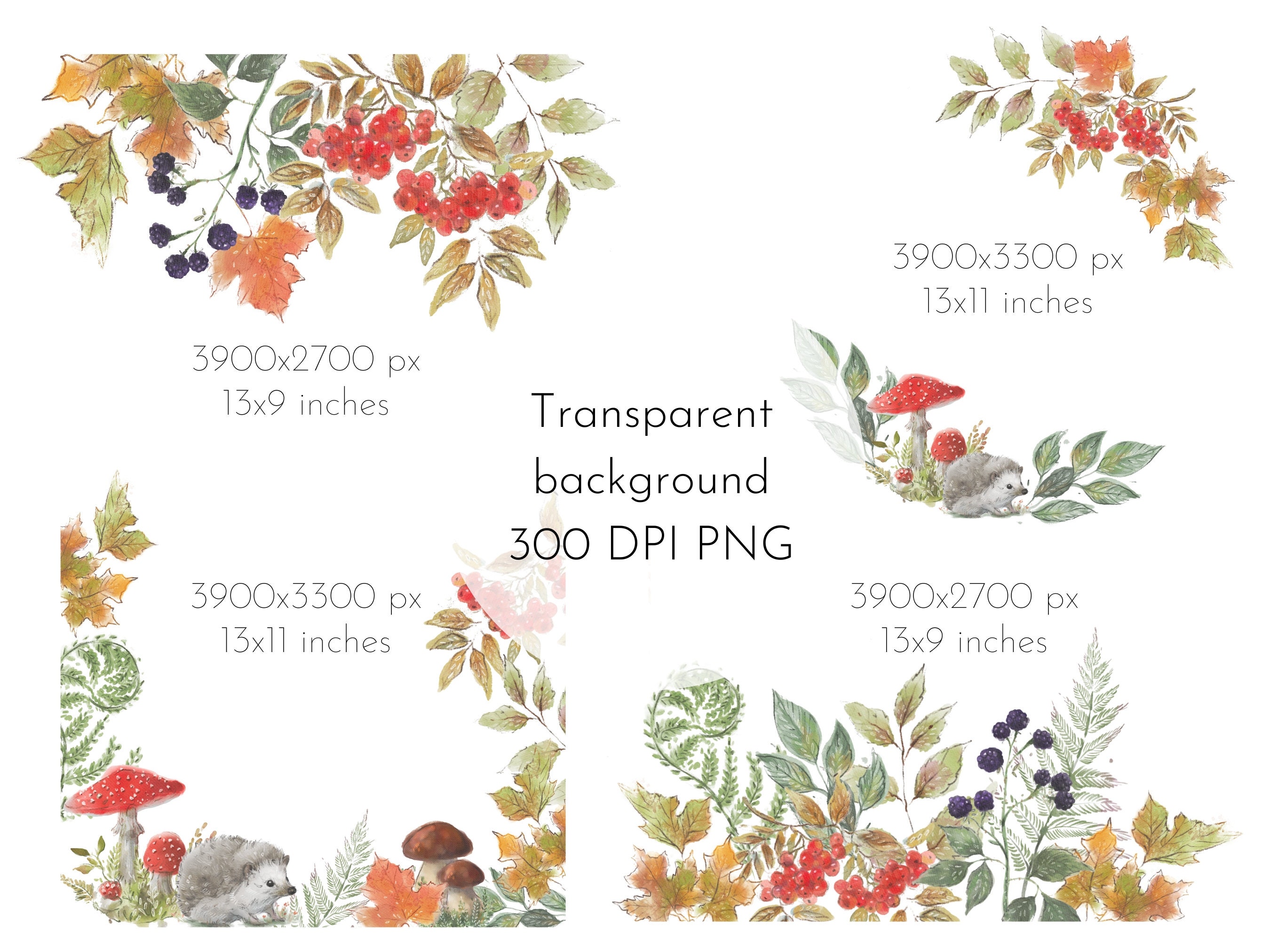 Autumn Forest Watercolor Clipart, PNG Autumn Botanical Clipart ...