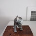 Metal Dog! Husky Pup! Personalized !! Metal Welded Sculpture Nuts and ...
