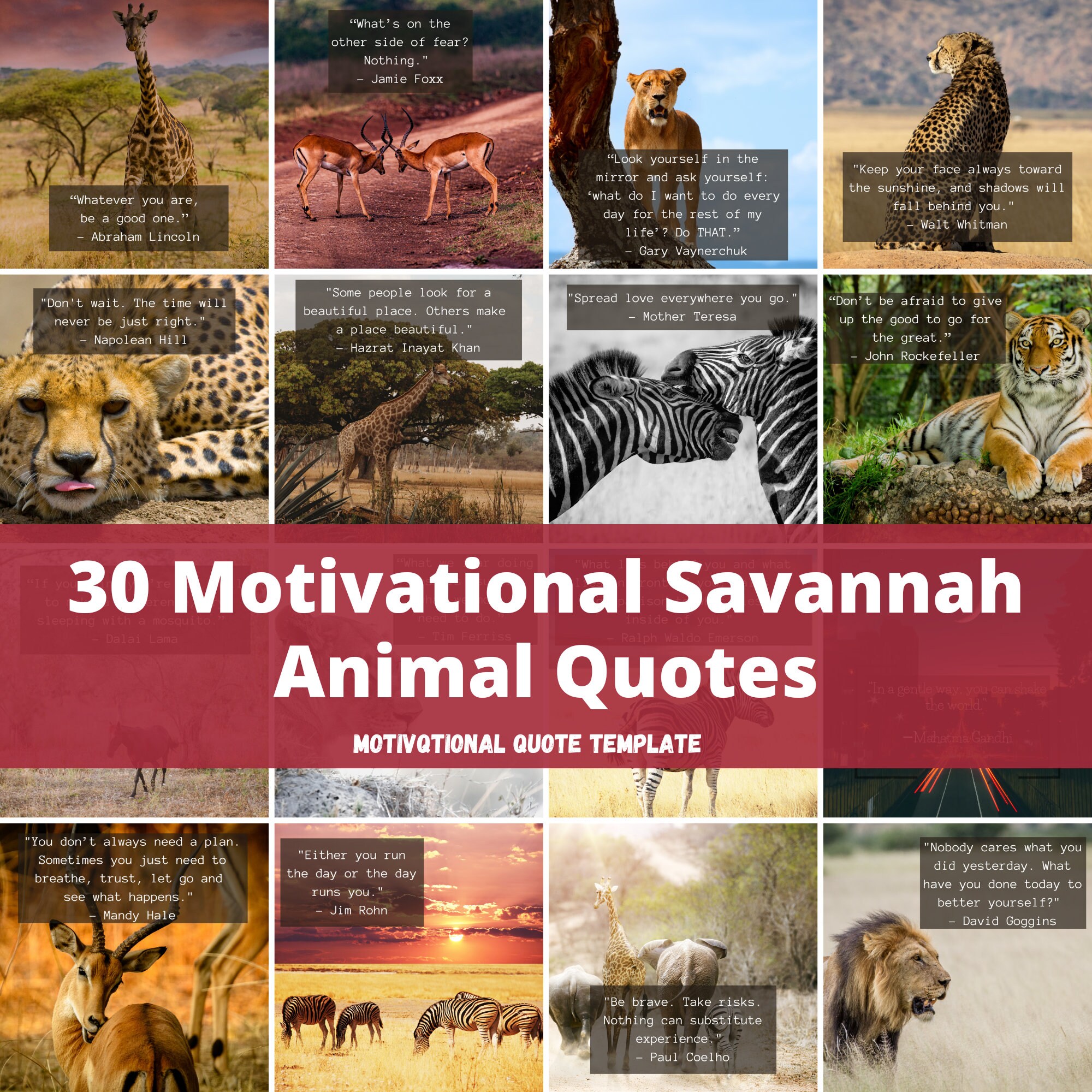 Motivational Animal Quotes