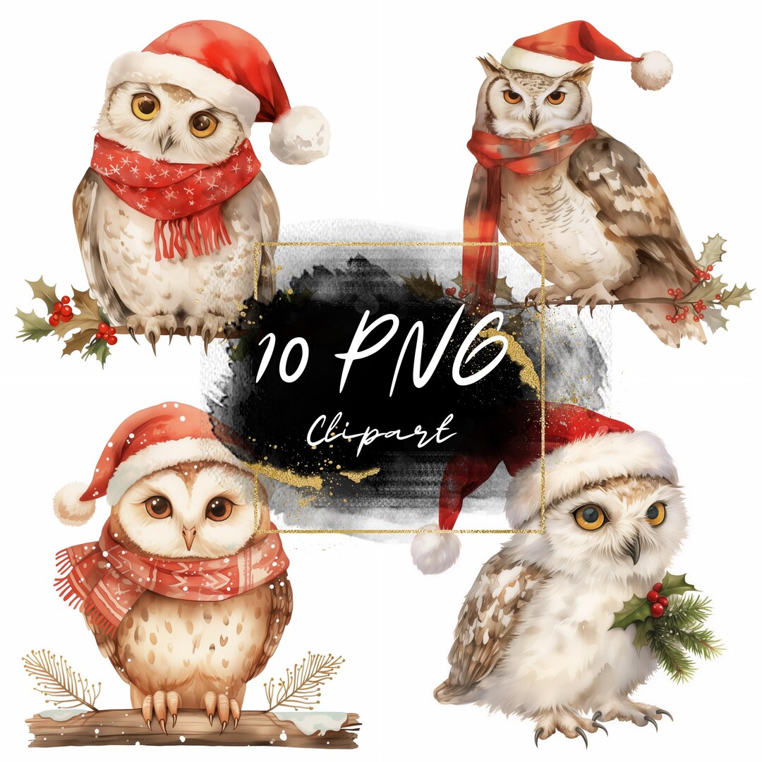 Watercolor Christmas Owl Clipart,cute Owl With Festive Decorations ...