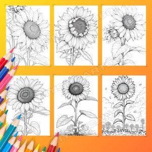 Beautiful Sunflowers Collection Coloring Book - 60 Page Grayscale ...