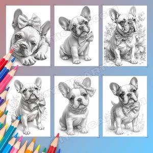 Cute French Bulldog Dog With Bows Coloring Book - 30 Page Grayscale ...
