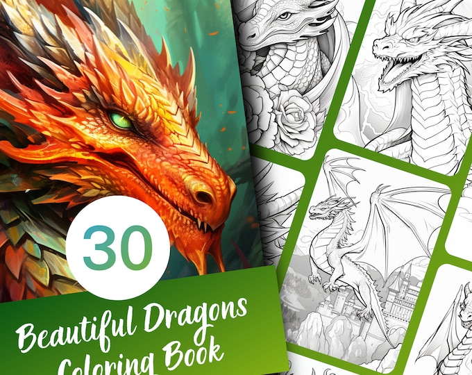 Relaxing Coloring Pages: Dragons 100 Pages - Etsy