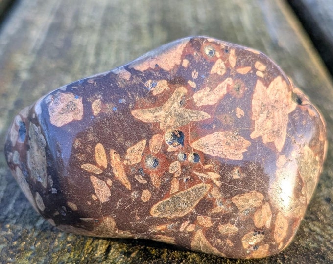 Thick Polished Porphyry With Big Crystals, Cross-like Feldspar Crystals ...