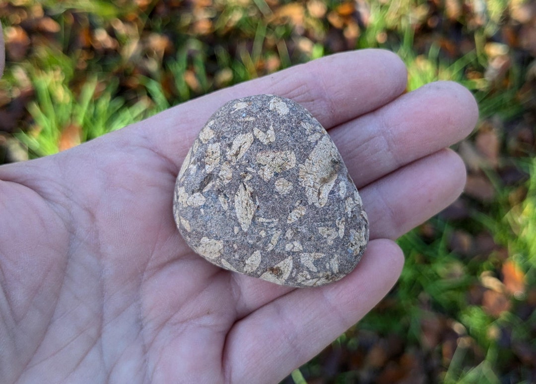 Cool Purple Porphyry With Alkali Feldspar Crystals Natural Beach ...