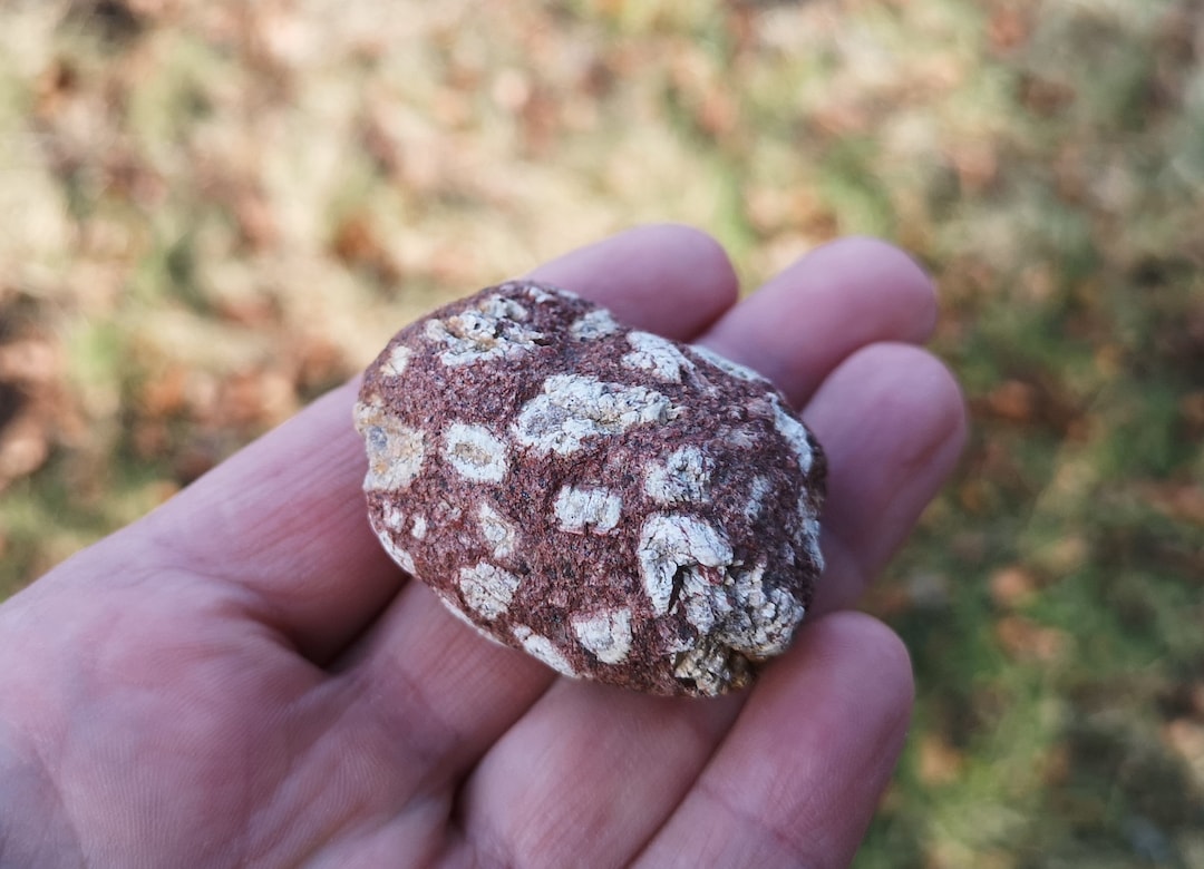 Amazing Porphyry Rock, Feldspar Crystals Pattern - Etsy