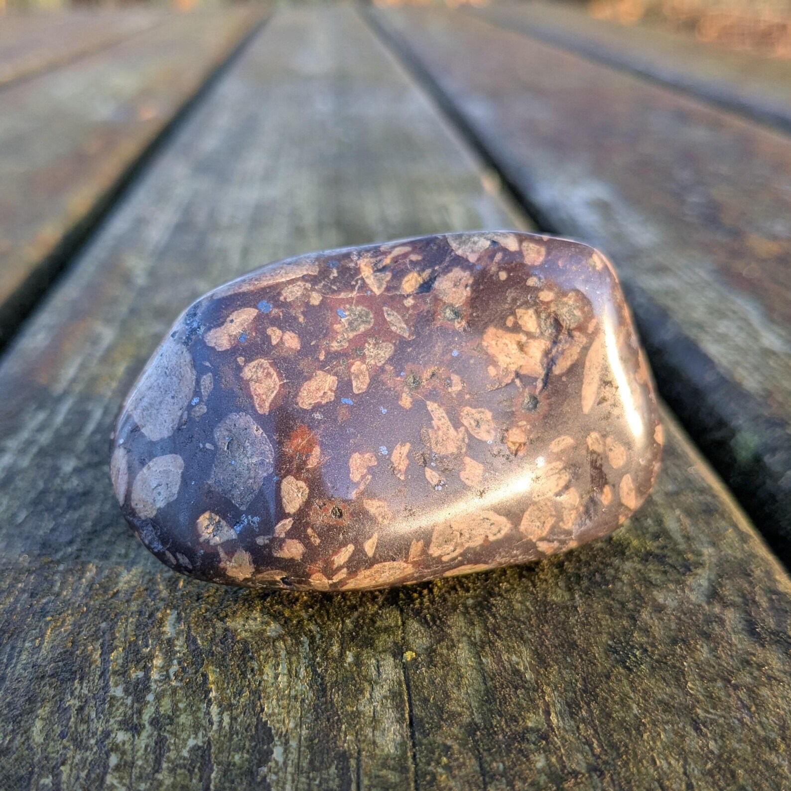 Thick Polished Porphyry With Big Crystals, Cross-like Feldspar Crystals ...