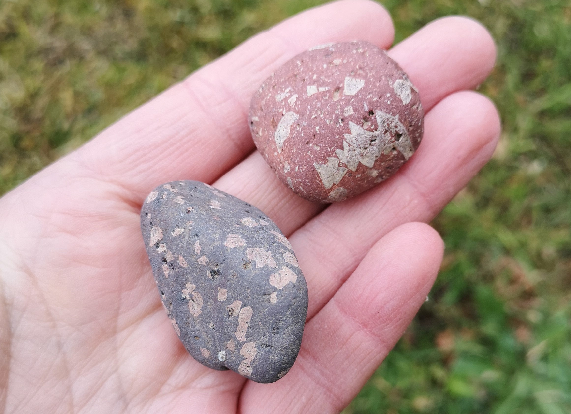 Amazing Porphyry Pair Great Color and Shape - Etsy