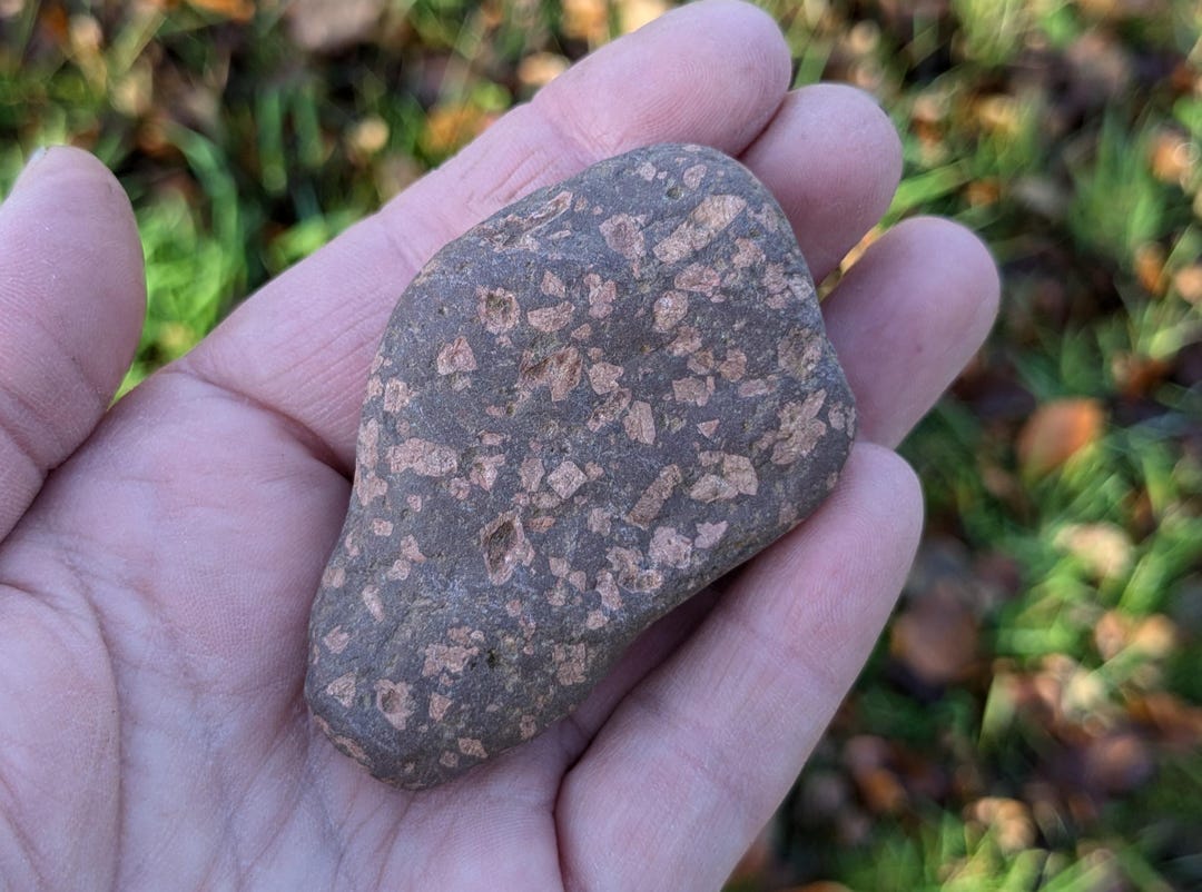 Massive Beach Rolled Purple and Red Porphyry From Denmark, Glacially ...