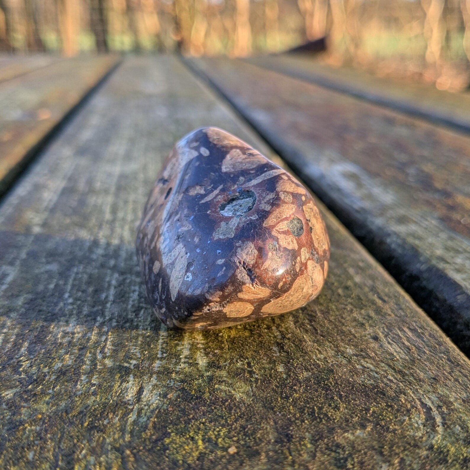 Thick Polished Porphyry With Big Crystals, Cross-like Feldspar Crystals ...