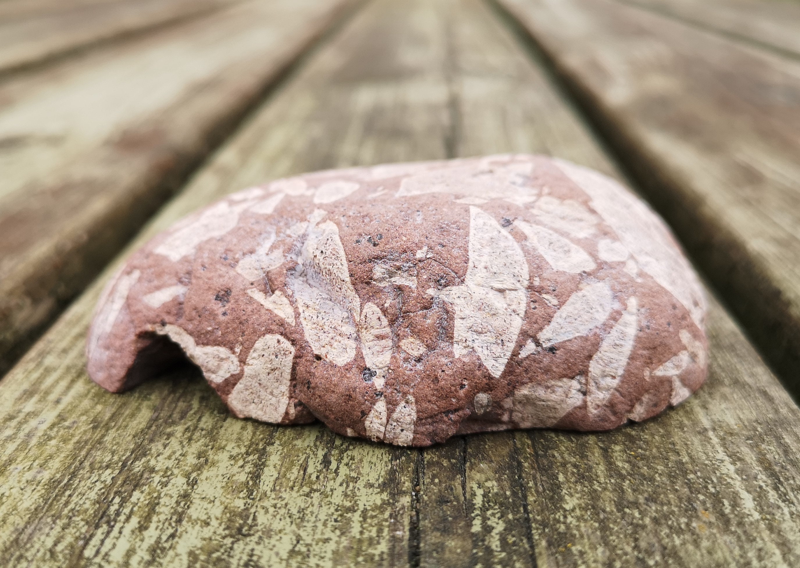 Beautiful Porphyry Slab With Great Contrast - Etsy