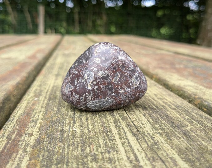Cool and Calm Porphyry With a Variety of Differently Sized Alkali ...