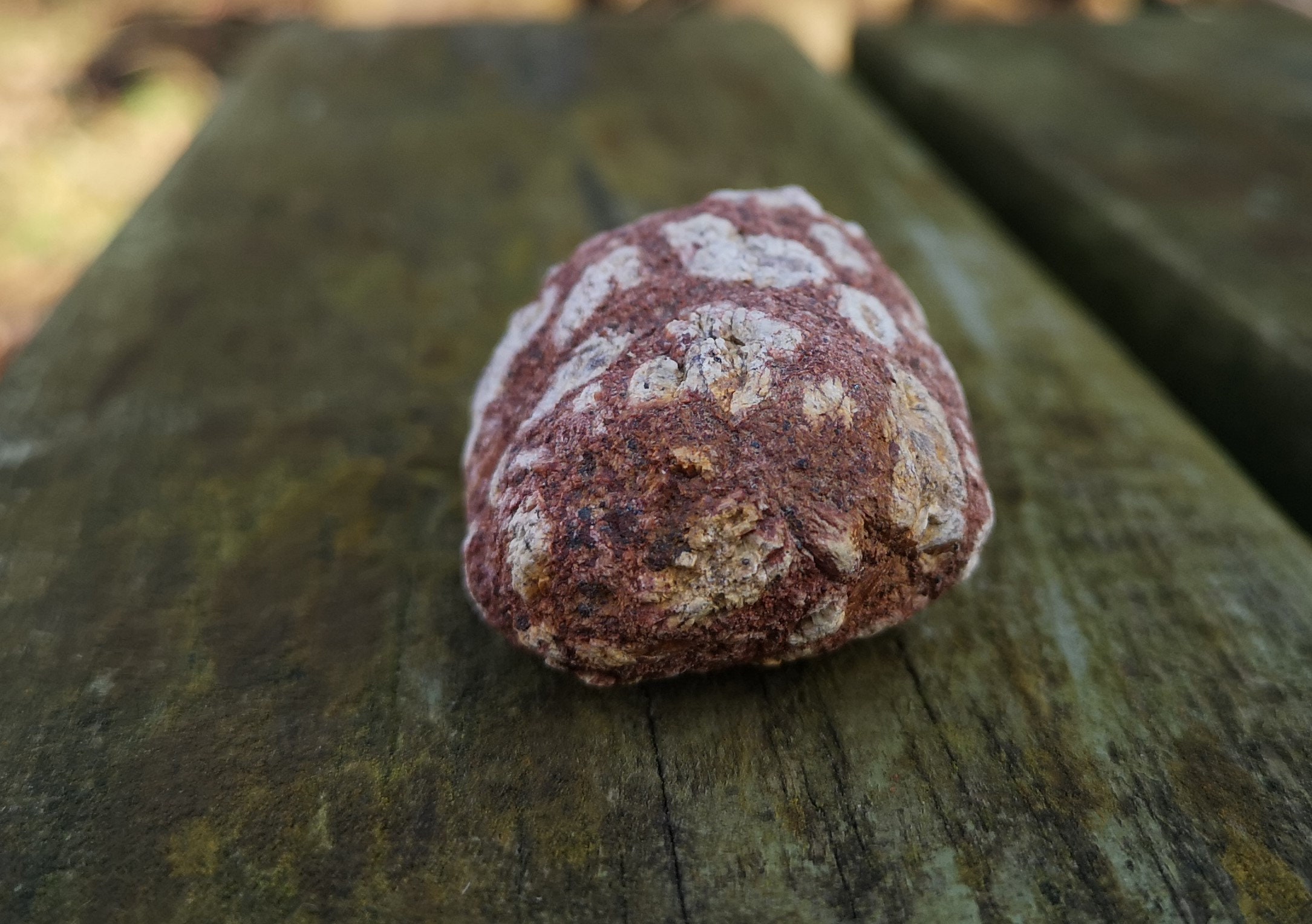 Amazing Porphyry Rock, Feldspar Crystals Pattern - Etsy