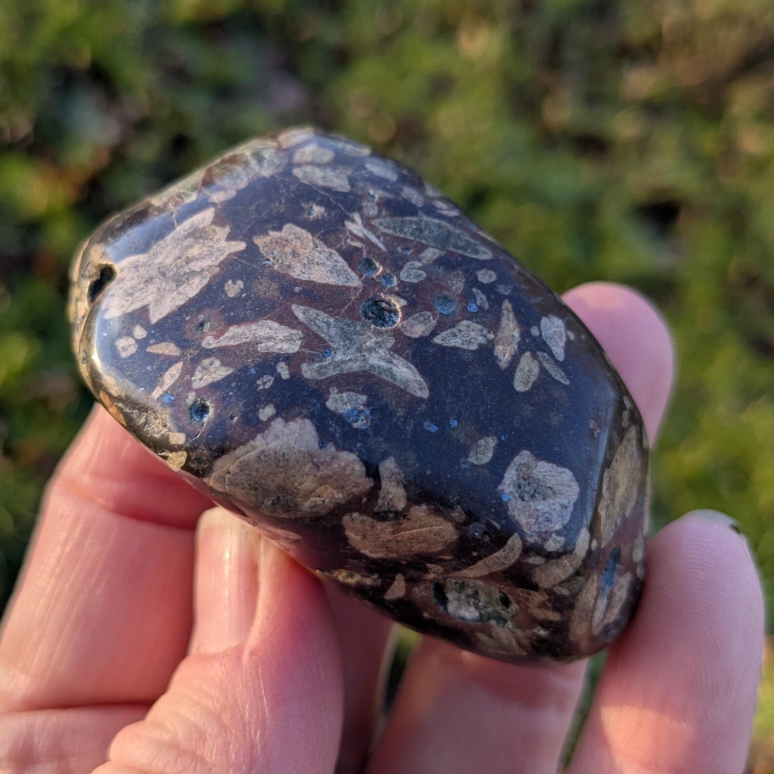 Thick Polished Porphyry With Big Crystals, Cross-like Feldspar Crystals ...