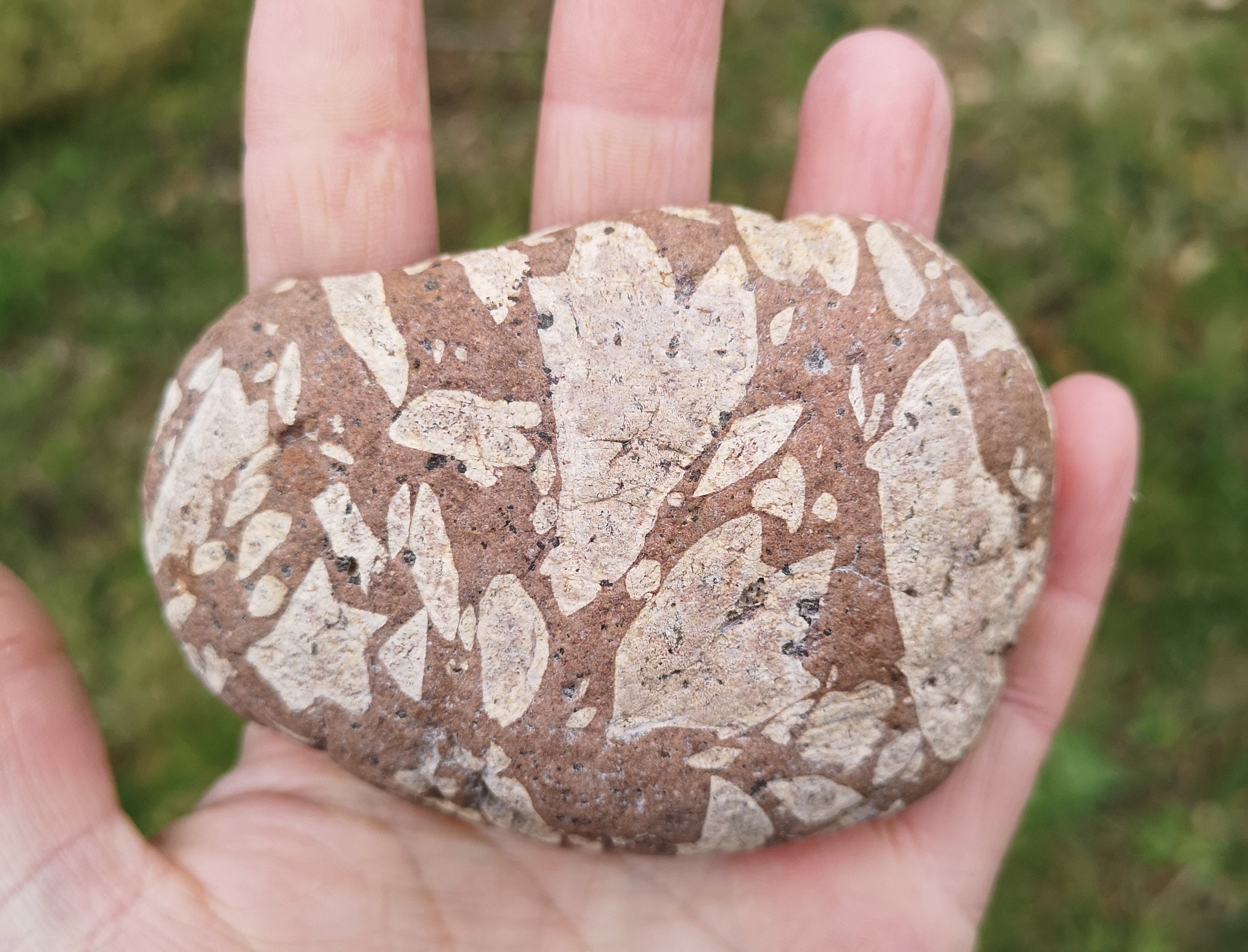 Beautiful Porphyry Slab With Great Contrast - Etsy