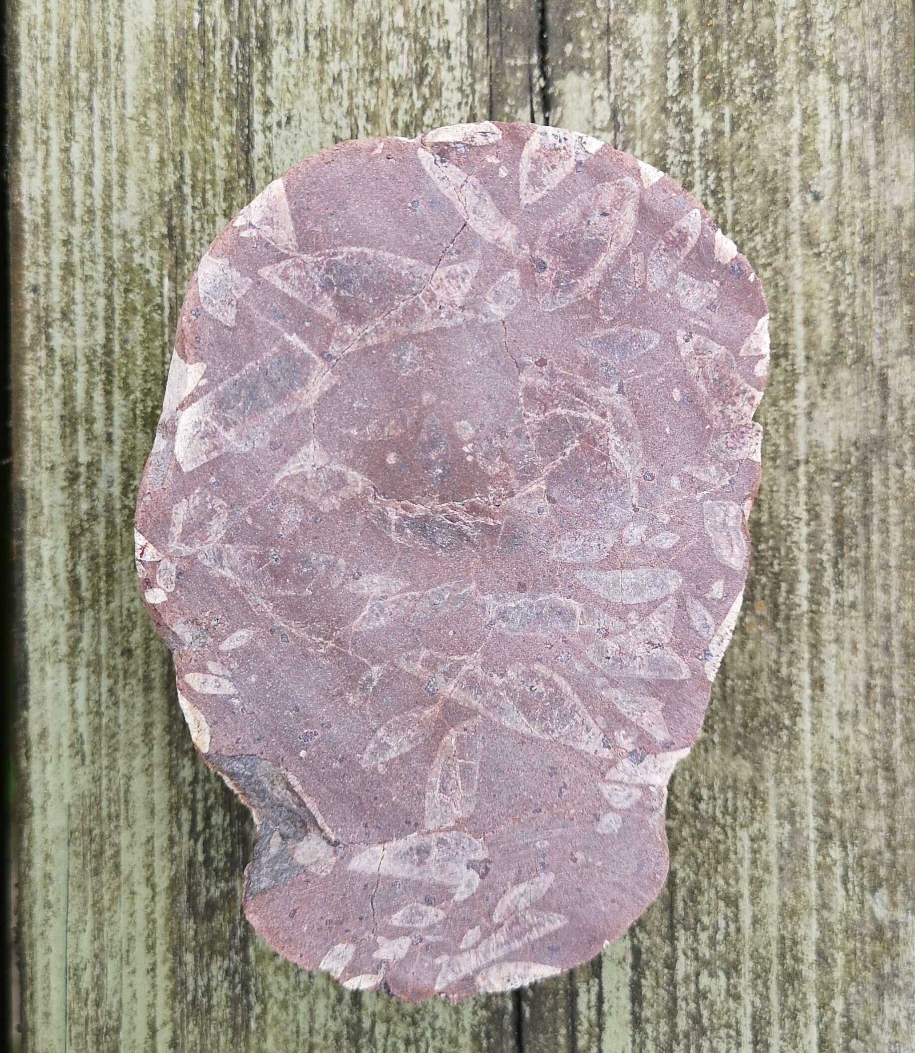 Beautiful Porphyry Slab With Great Contrast - Etsy