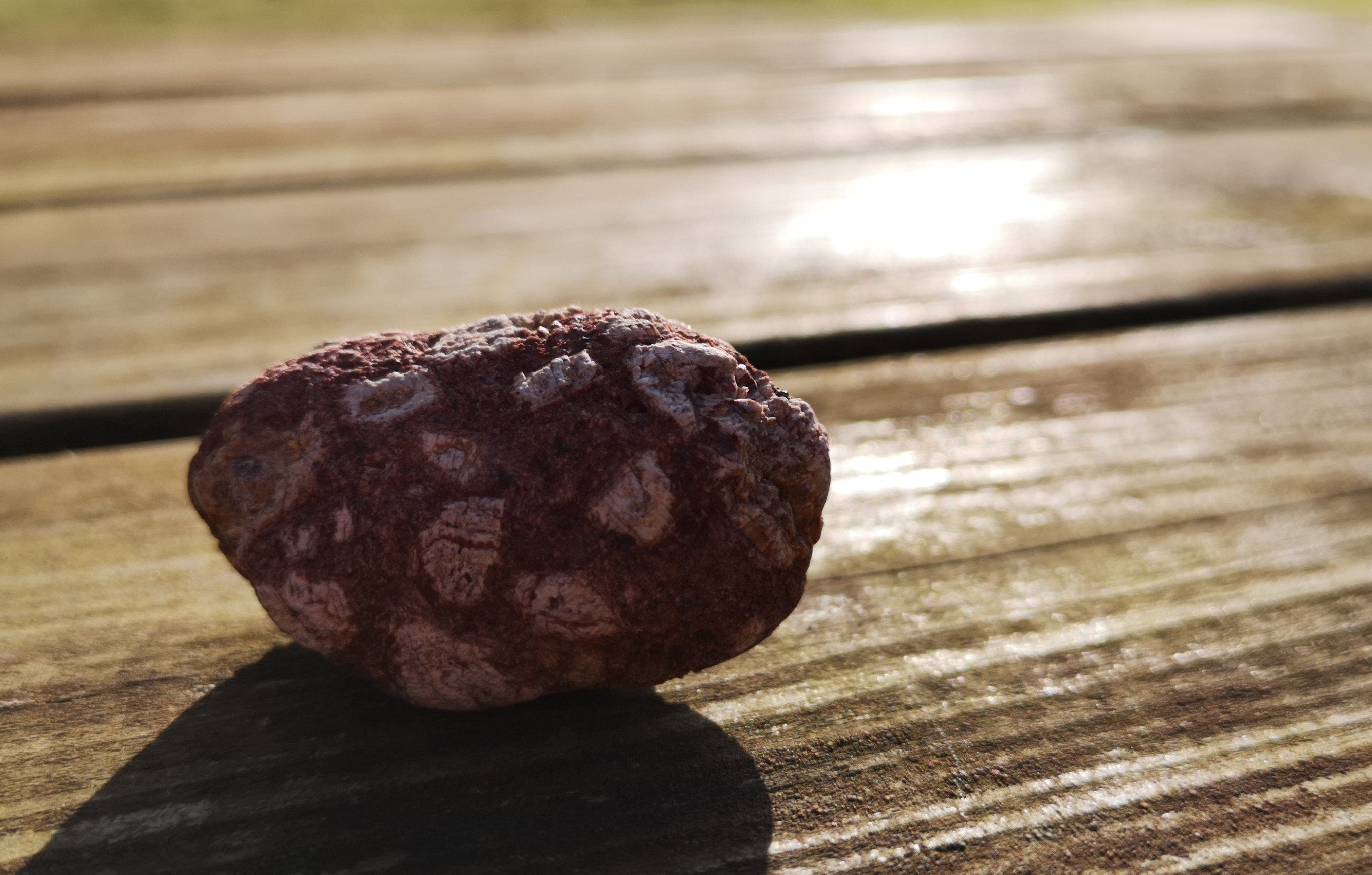 Amazing Porphyry Rock, Feldspar Crystals Pattern - Etsy