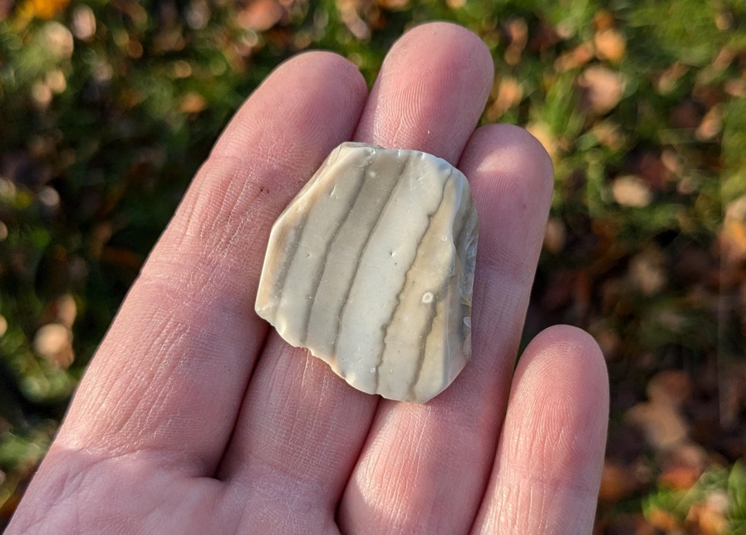 Danish Banded or Striped Flint, Beautiful Warm Grey Decorative Flint ...