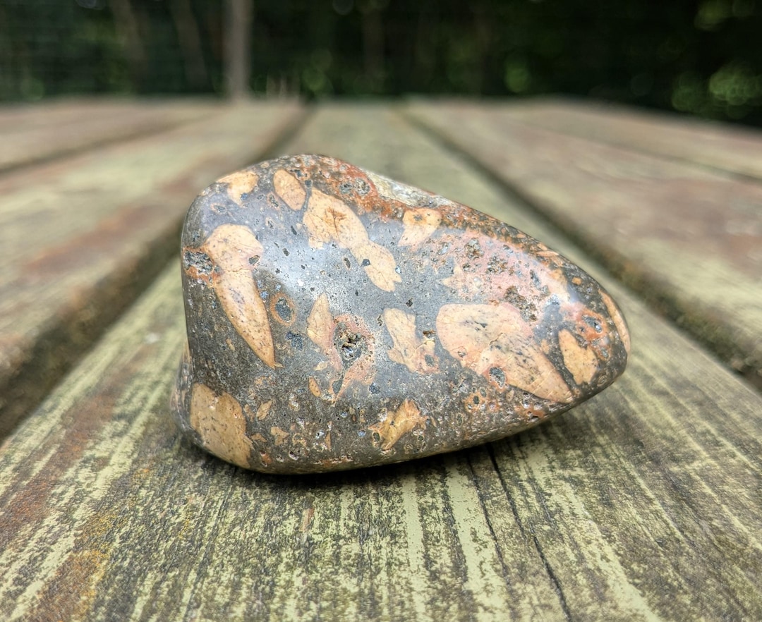 Warm Gray Porphyry Rock With Several Shades of Orange Alkali Feldspar ...
