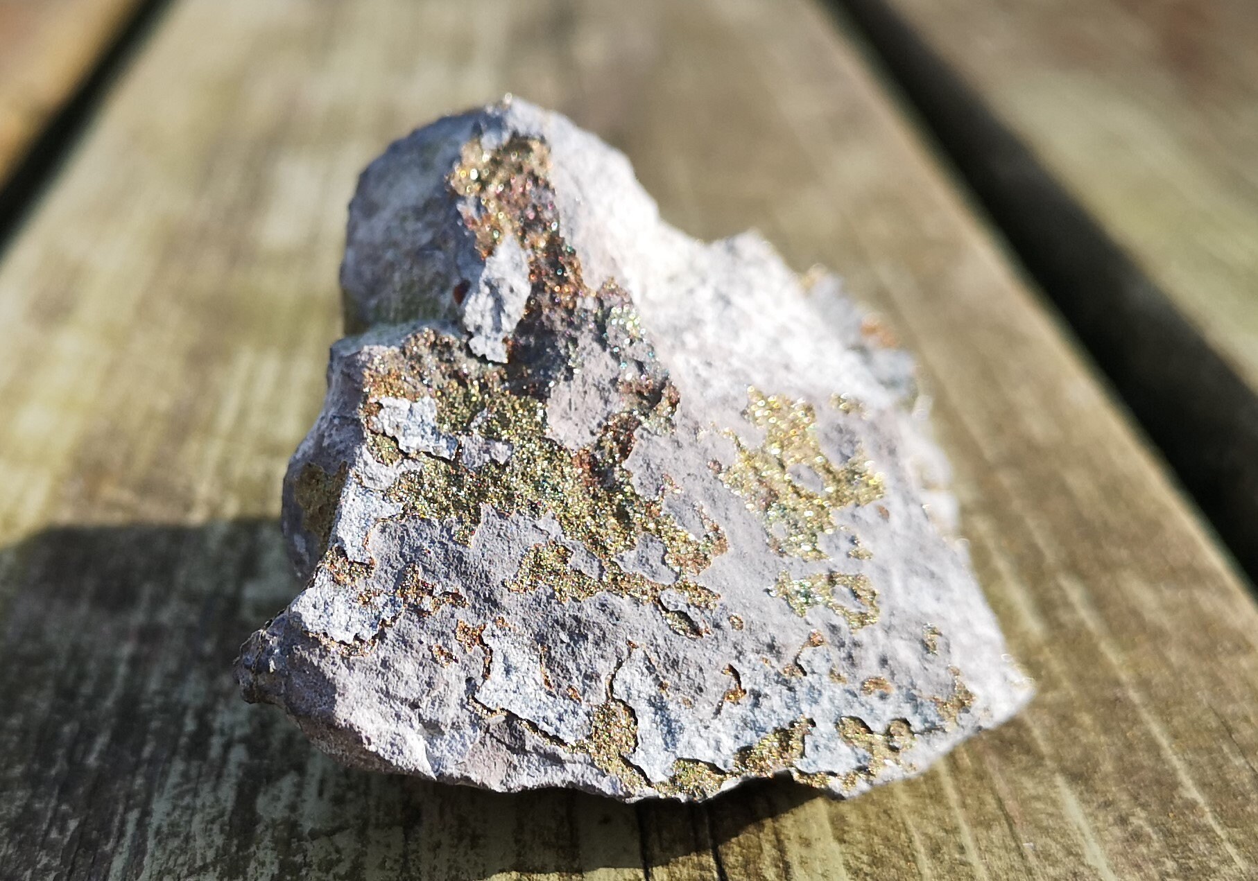 Super Sparkly Pyrite, Clay Concretion, Golden Micro Crystals Septaria ...